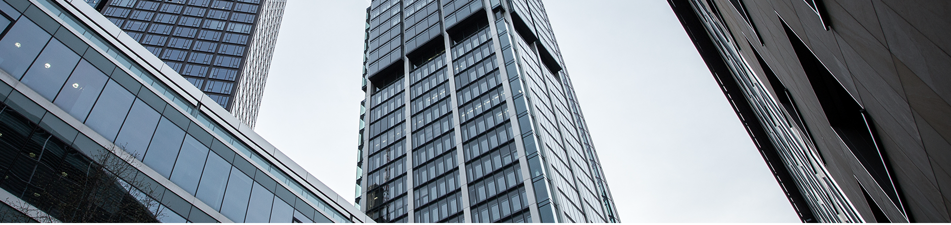 Discover Our People at Linnovate Partners